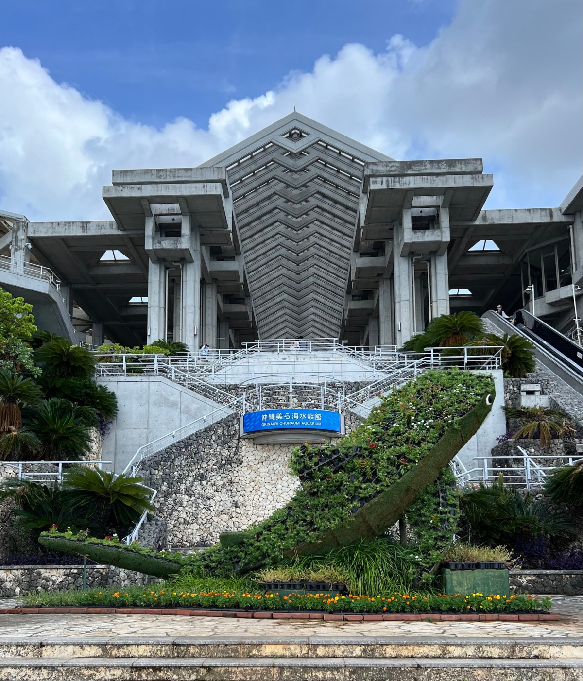 Best Times to Visit Okinawa Churaumi Aquarium - tsushioka