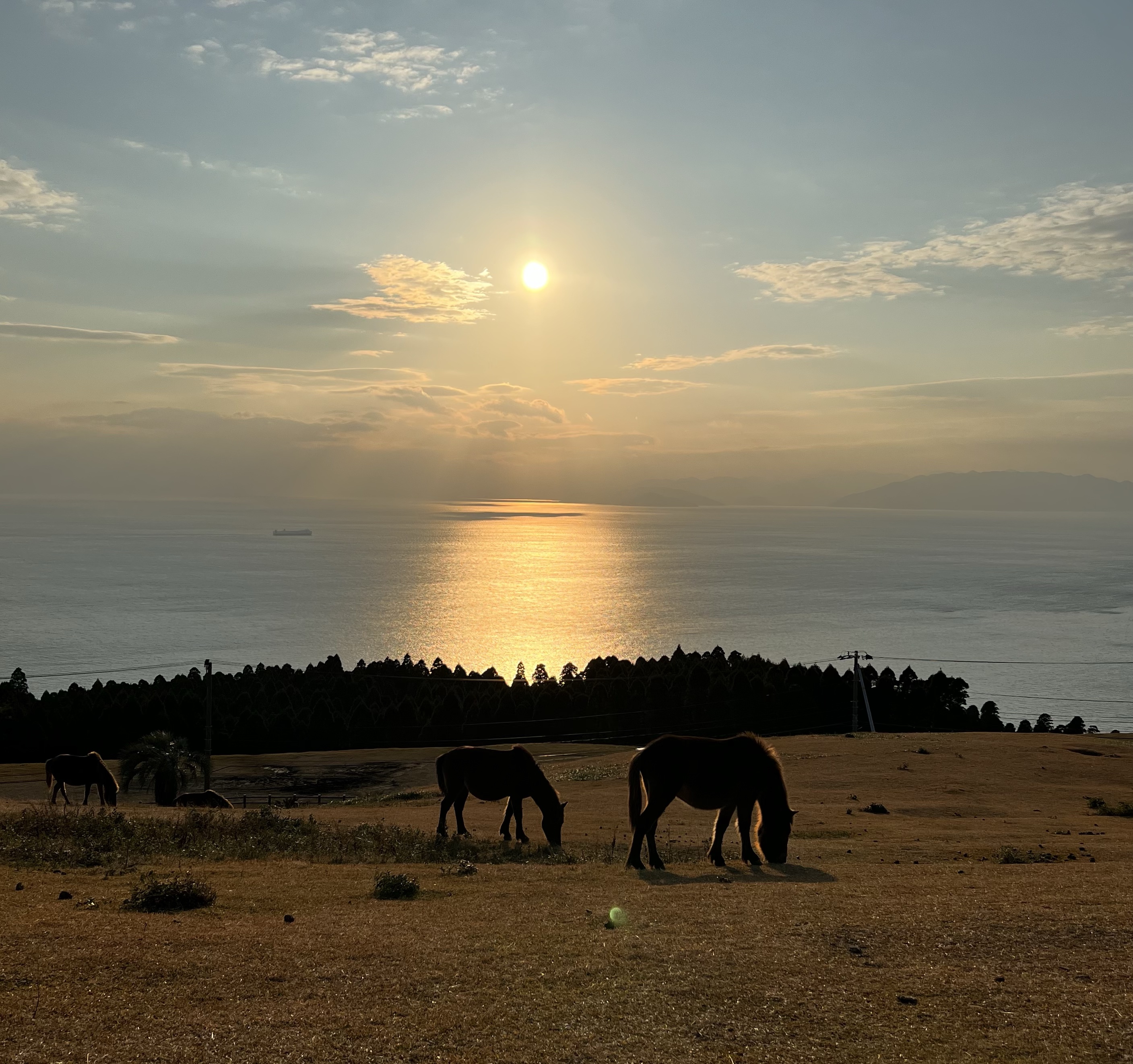 Best Times to Visit Cape Toi - tsushioka