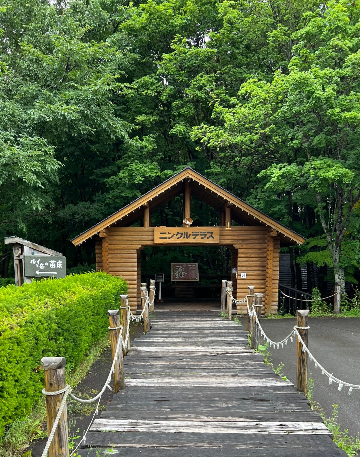 Best Times to Visit Ningle Terrace - tsushioka